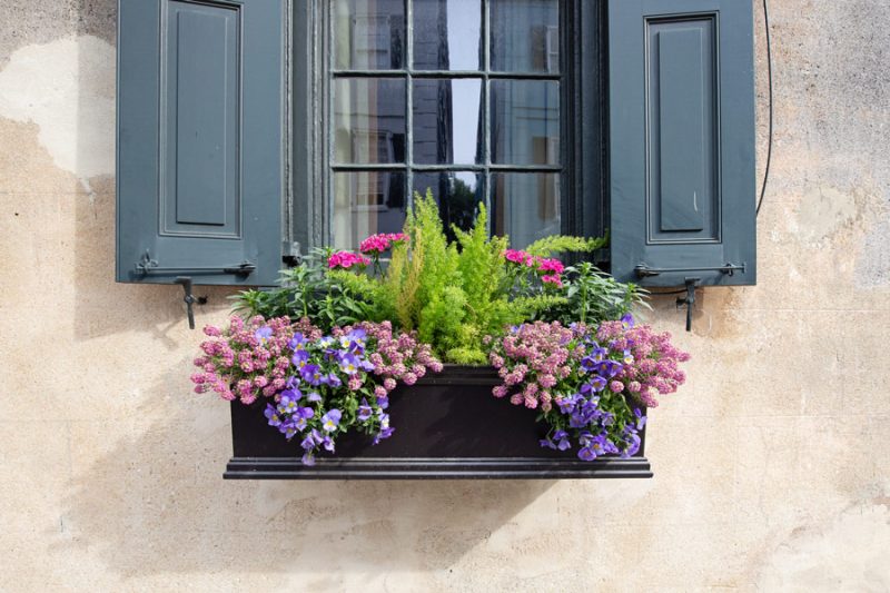 Window Box Ideas & Free Printable! - Angela Marie Made