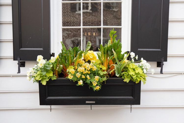 Window Box Ideas & Free Printable! - Angela Marie Made